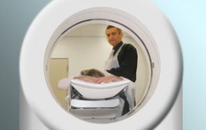 Neurochirurg Darmstadt - Neurochirurg Darmstadt